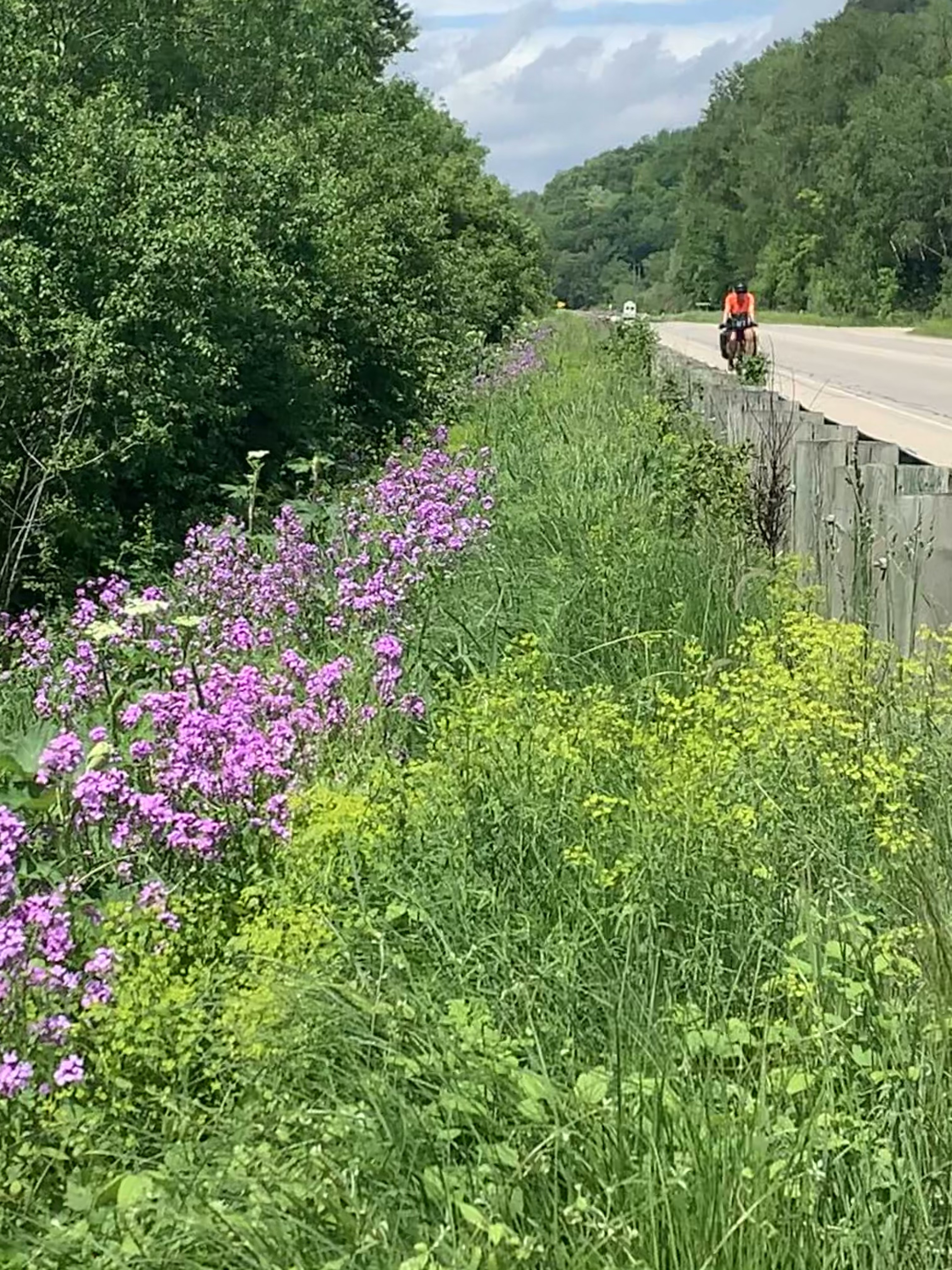 Day Two: Pepin, WI to West Salem, WI: Phlox and birds | Confluence