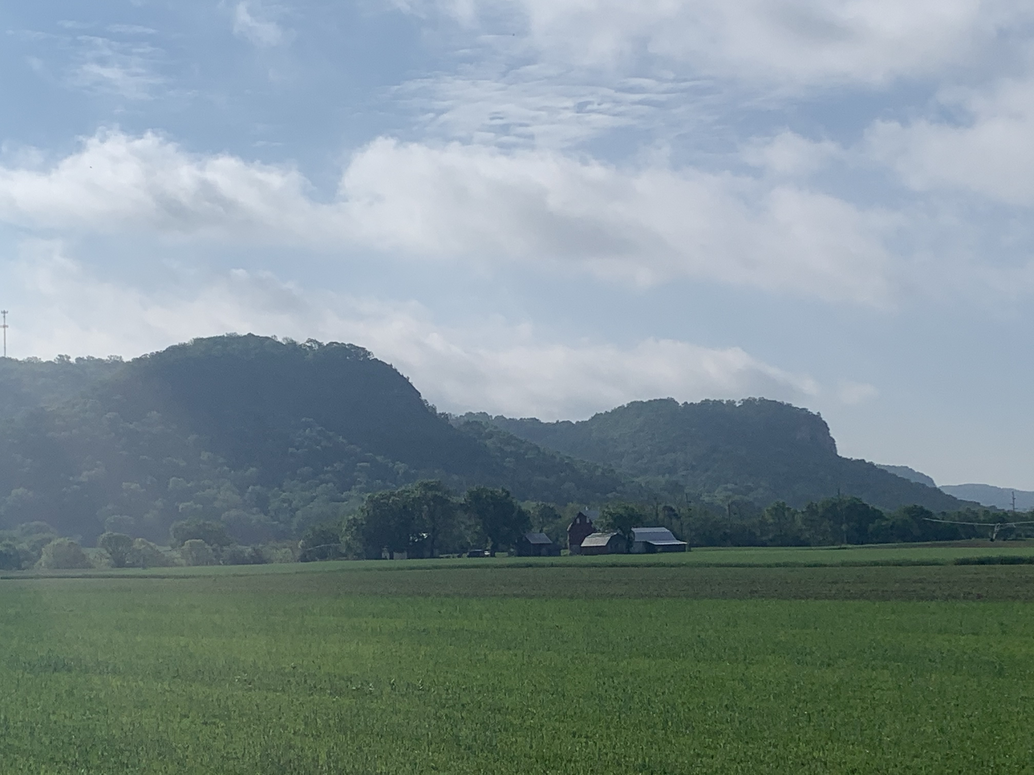 Day Two: Pepin, WI to West Salem, WI: Phlox and birds | Confluence